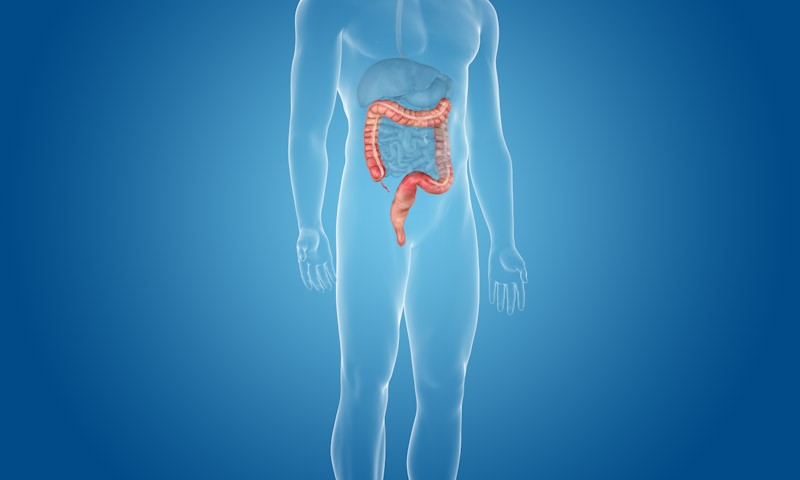 Colon capsule endoscopy (CCE) | NHS inform